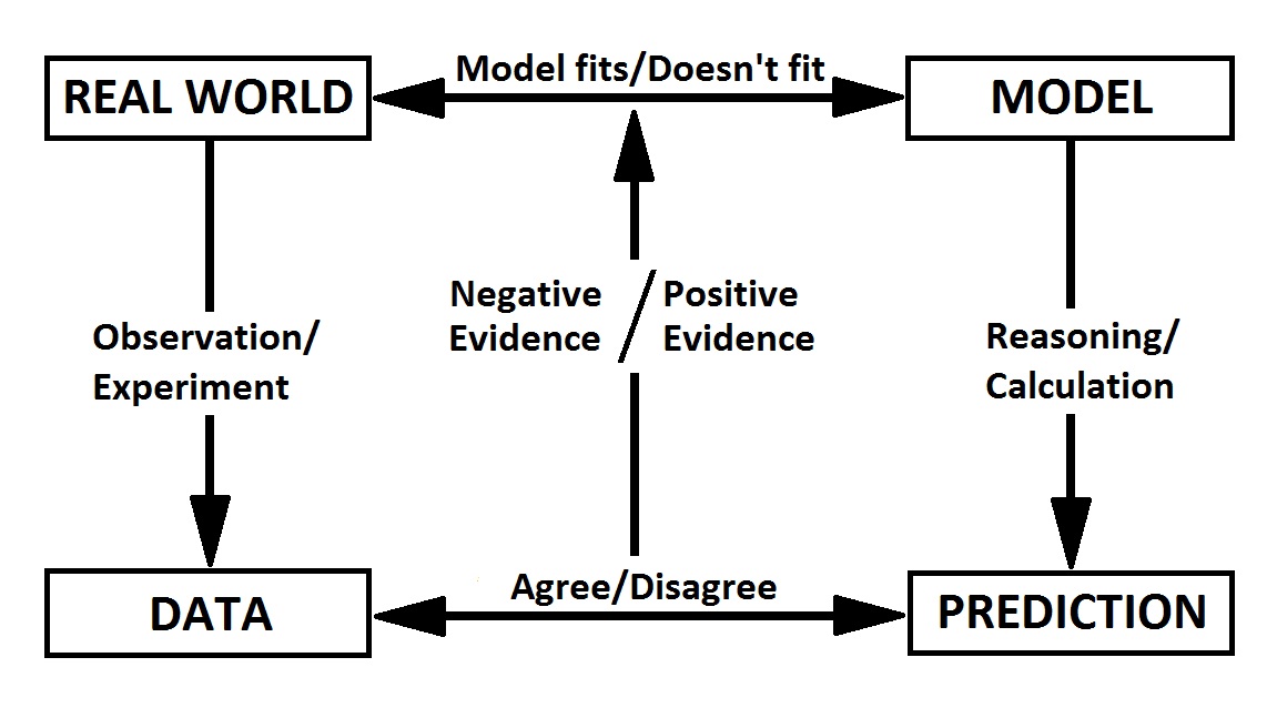 Scientific Reasoning Process