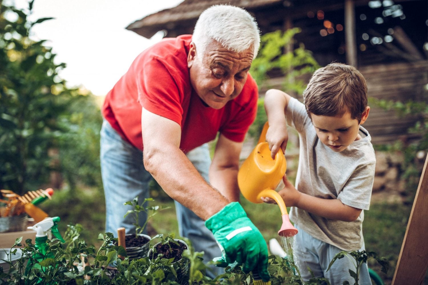 Intergenerational wealth transfers drive inequality in Britain ...