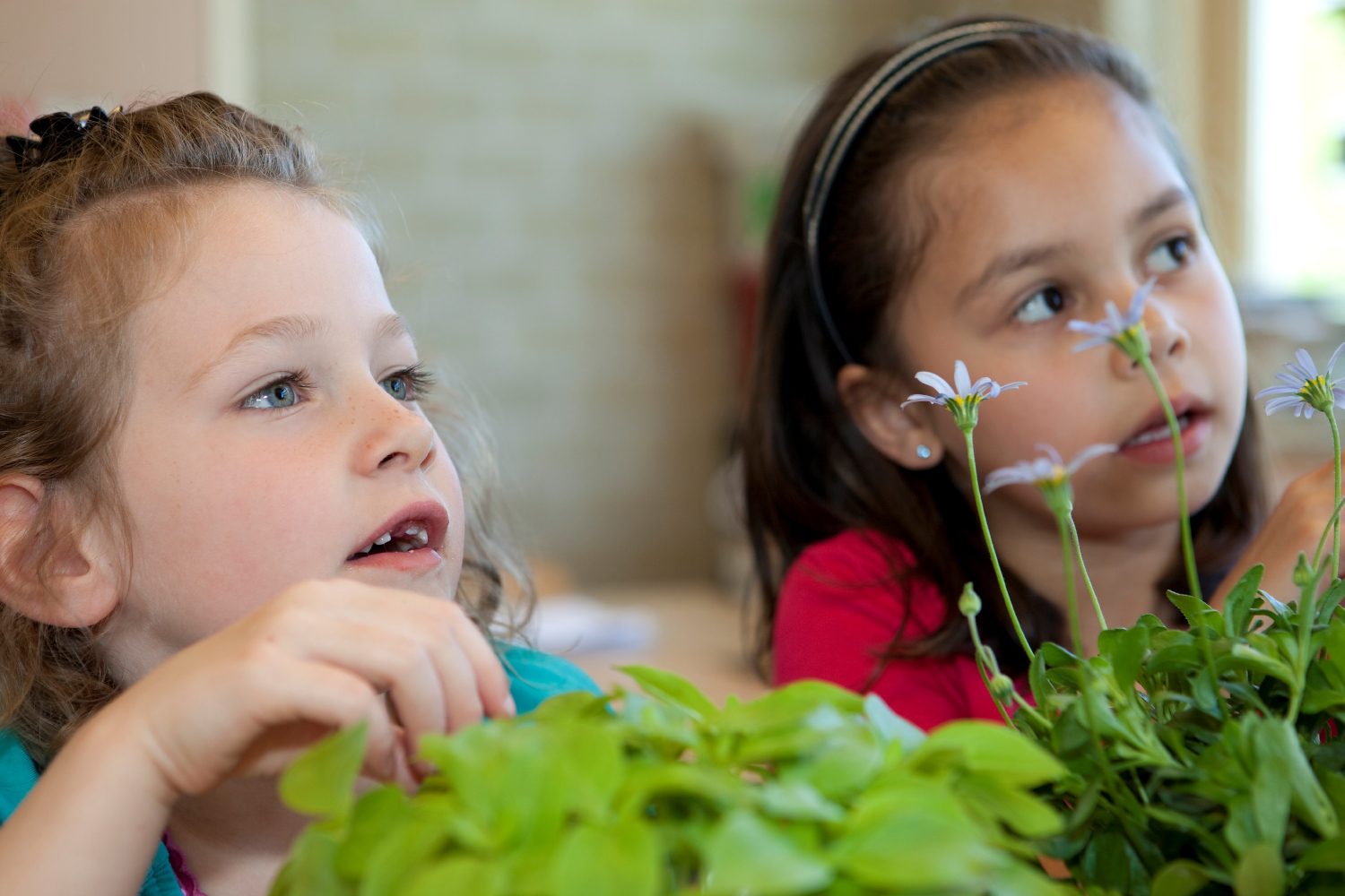 Primary science teaching practice and pupil experience and achievement ...