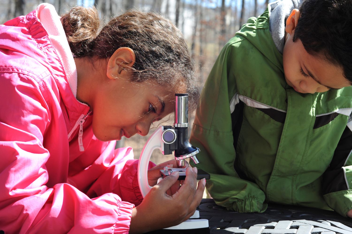 Purposeful and effective practical work in primary school science ...