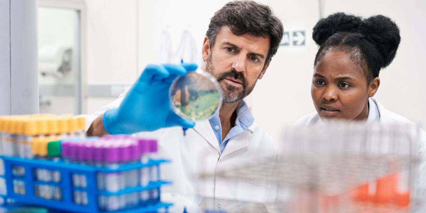 2024 annual report published - Nuffield Foundation