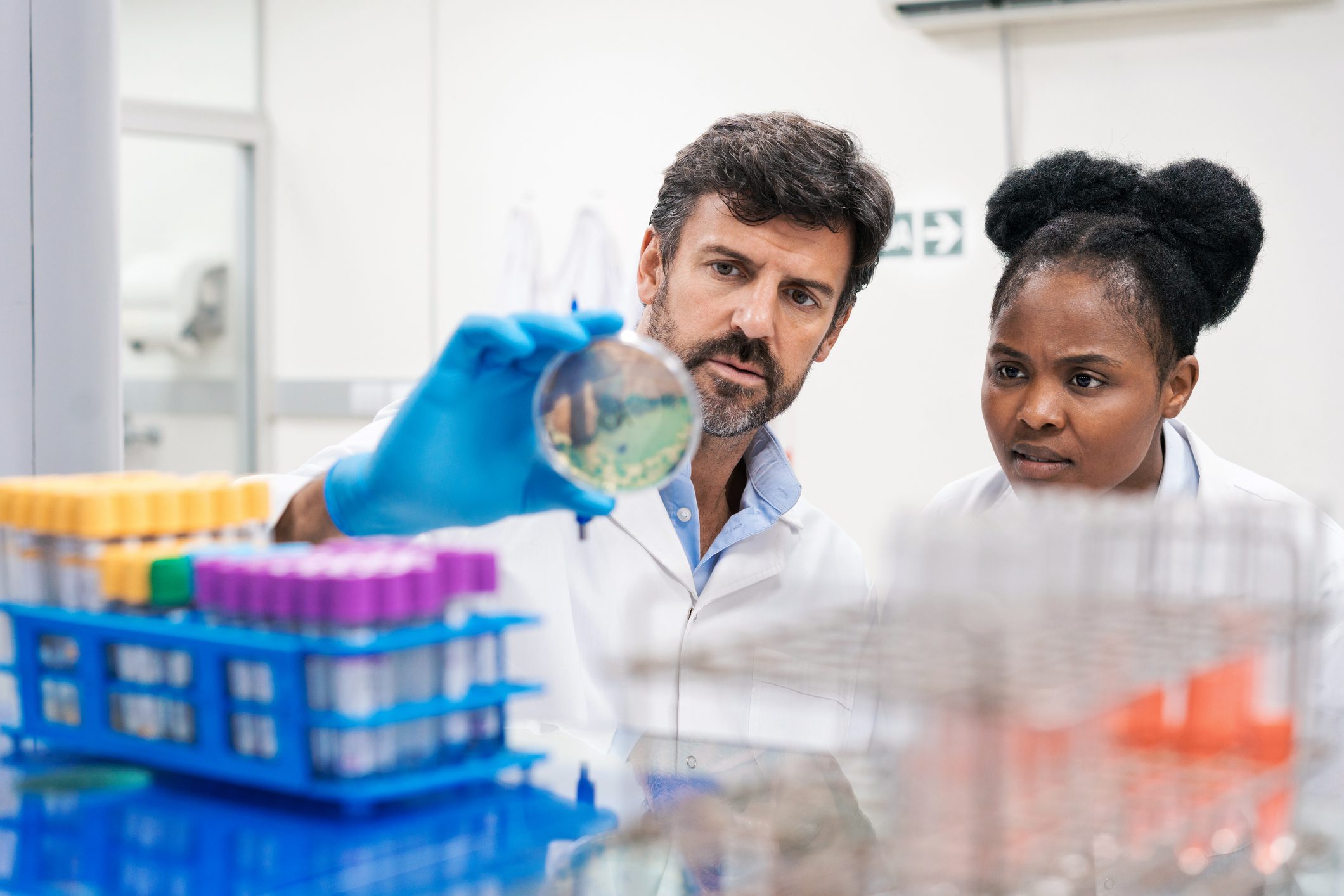 STEM research placements had positive long-term impacts on young people ...